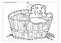 Free animal coloring pictures